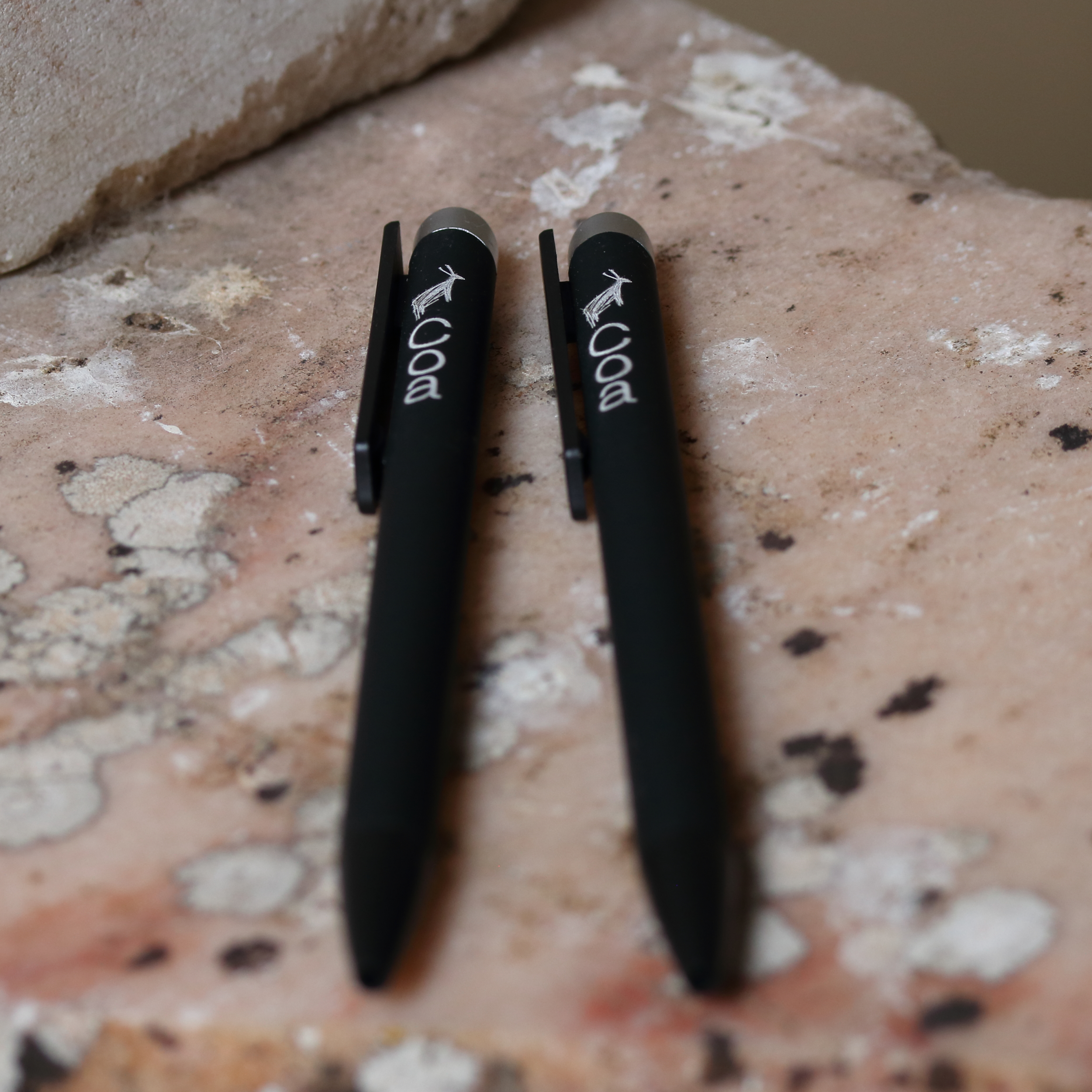 Caneta Côa Logo - MC - Côa Parque